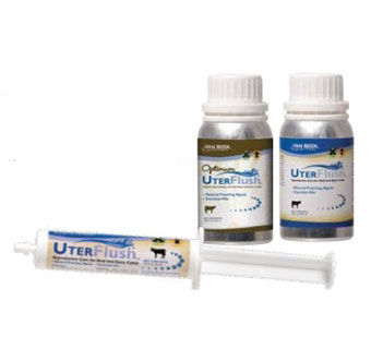 Animal Health International | Vet, Retailer, Producer Supplies